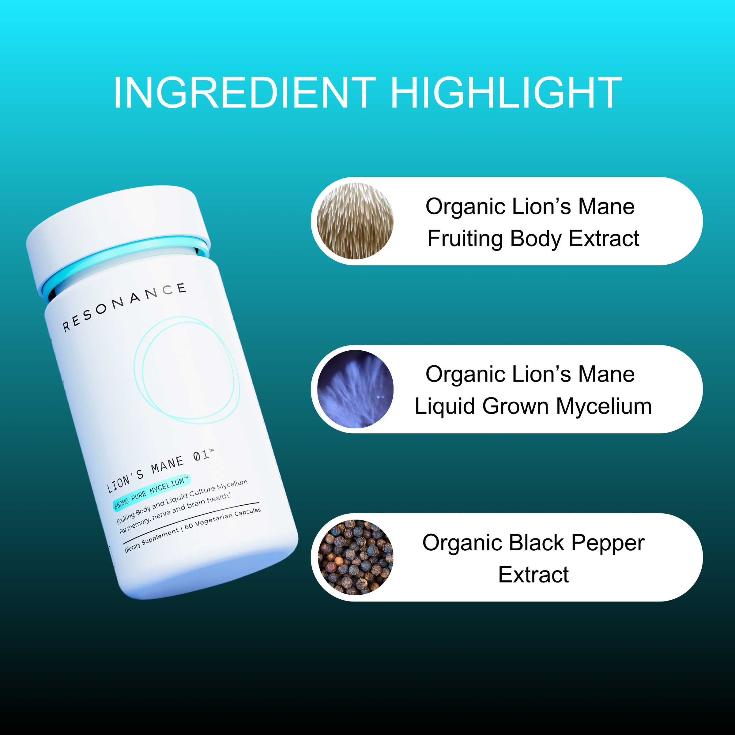 Lion's Mane 01 | Pure Mycelium and Fruiting Body – Resonance Health